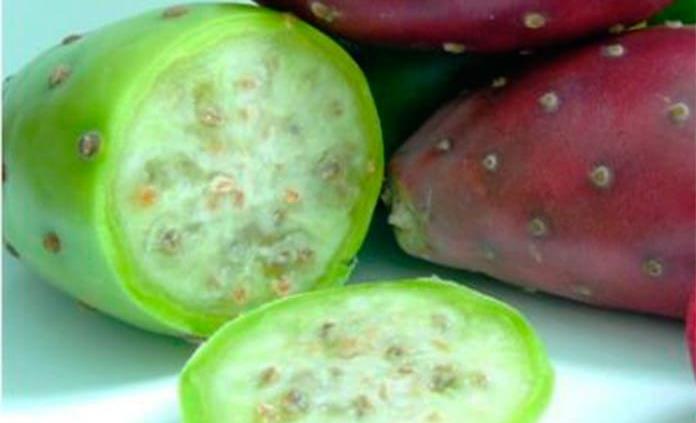 Especial: Conoce los beneficios de la tuna