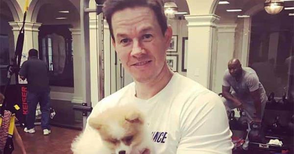 Mark Whalberg filmará durante siete días en la CDMX