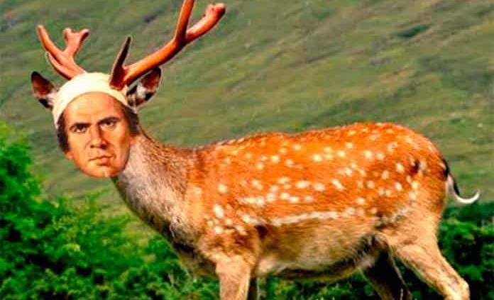 La Sener llama por error “Ciervo de la Nación” a Morelos y usuarios de ...