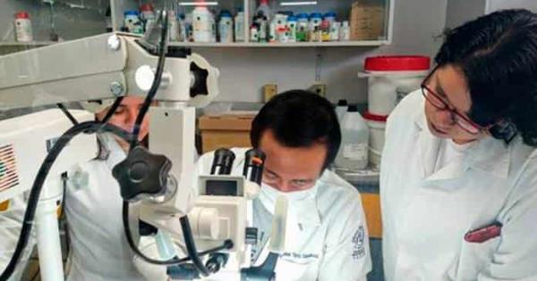 Festeja el Copocyt su 25 aniversario