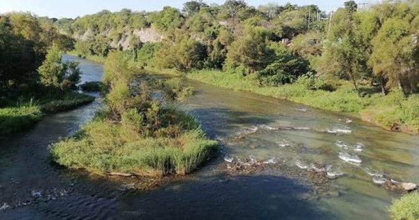 El río Valles cerca de su escala crítica
