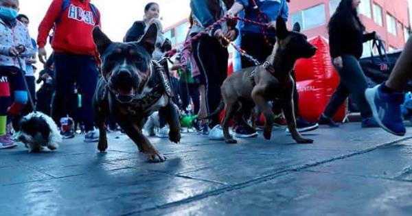Se realizó con éxito la 2da. Carrera Perrona