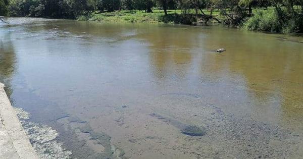 El río Valles casi en escala crítica