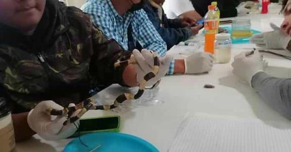 Realizan curso de manejo de serpientes