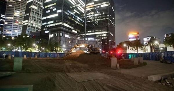 Ahuehuete será plantado a mediados de mayo