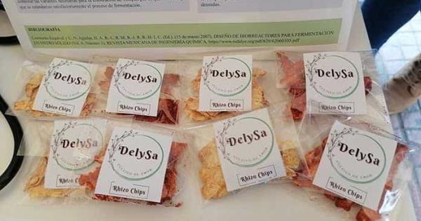 Alumnos exponen pan de sandwich hecho de jacubes