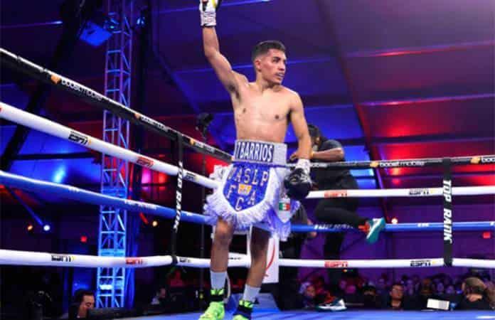 Fernando Saavedra peleará en Las Vegas