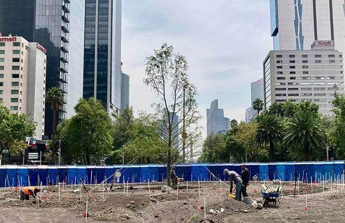 Ahuehuete de Paseo de la Reforma está muy bien: Sedema