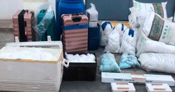 Aseguran más de 900 kilos de metanfetamina en BC