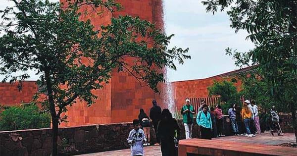 ¡Conoce el mundo de los invertebrados!