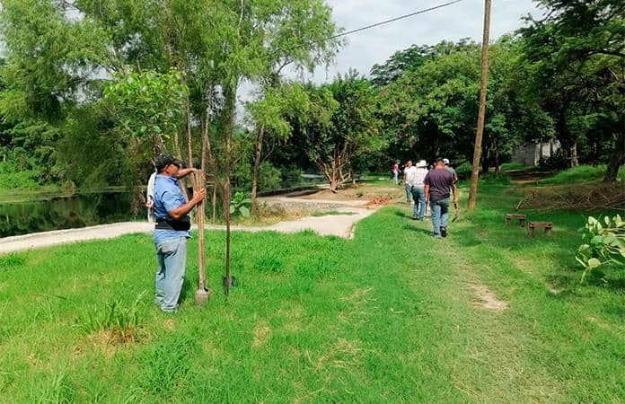 Reforestan ribera del río en Día del Medio Ambiente
