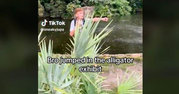 Detienen a un joven que se grabó en un estanque con caimanes de un ...