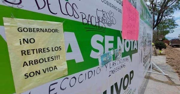 Revira activista críticas de RGC contra amparos