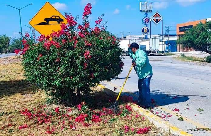 Limpian y podan camellones del Bulevar Turístico