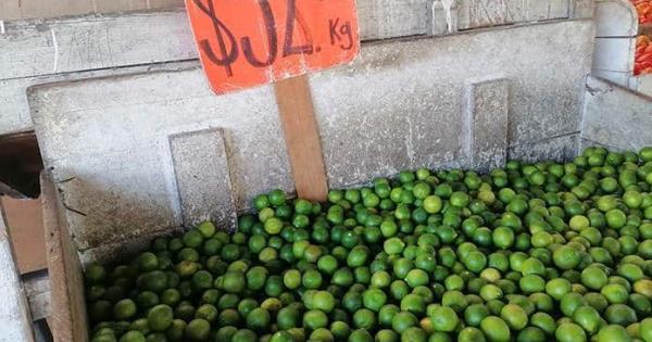 El limón y azúcar, a precio de oro