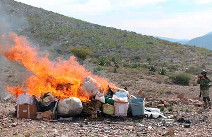 Incinera La Fgr Casi 300 Kilos De Droga