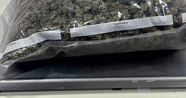 Motociclista traía medio kilo de “mota”, detenido