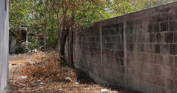 Aparece dueño de perro colgado