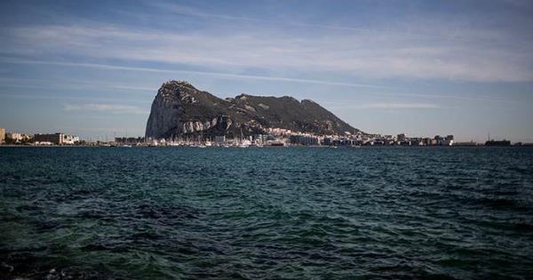 Advierten por las embestidas de orcas