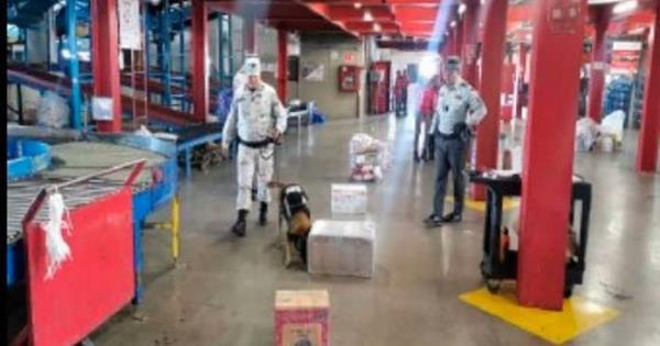 Decomisan droga, armas y cartuchos útiles en el AIPA