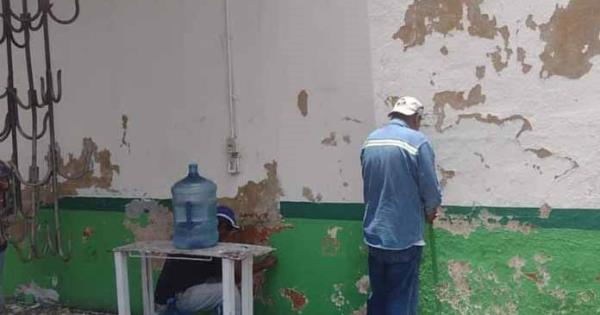 Dan manita de gato al Rastro Municipal