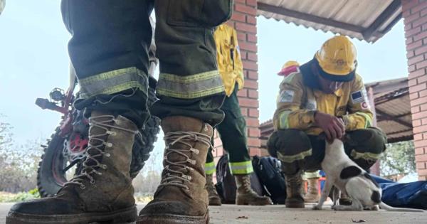 Incendios Forestales en Bolivia: Rescate de Especialistas en Roboré