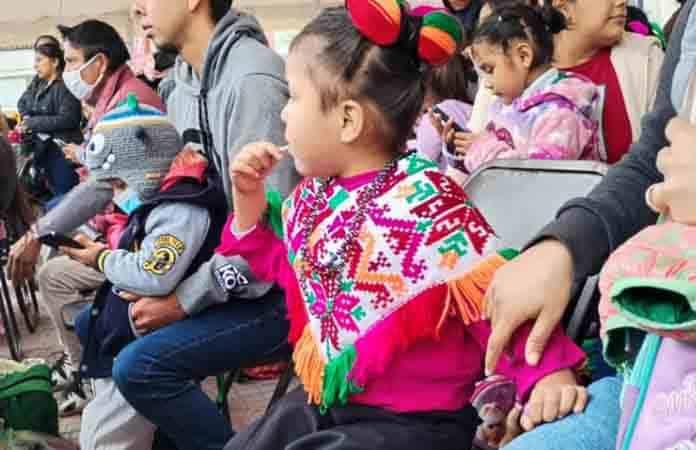 Niegan que lengua tének esté en desuso