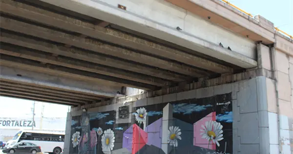 Harán catálogo de los artistas urbanos