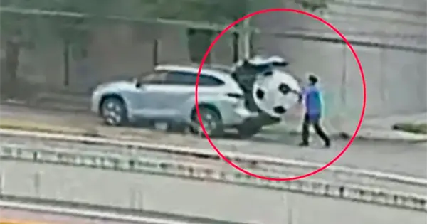 Roban balón decorativo de un restaurante