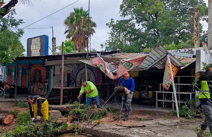 Cae árbol sobre puestos de lámina en la Pulga