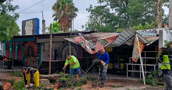 Cae árbol sobre puestos de lámina en la Pulga